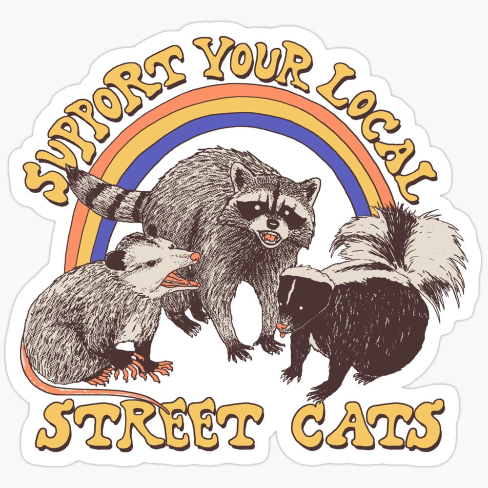 Kira Sticker - Street Cats Sticker - Single, Trio, Or Squad — Collect ...