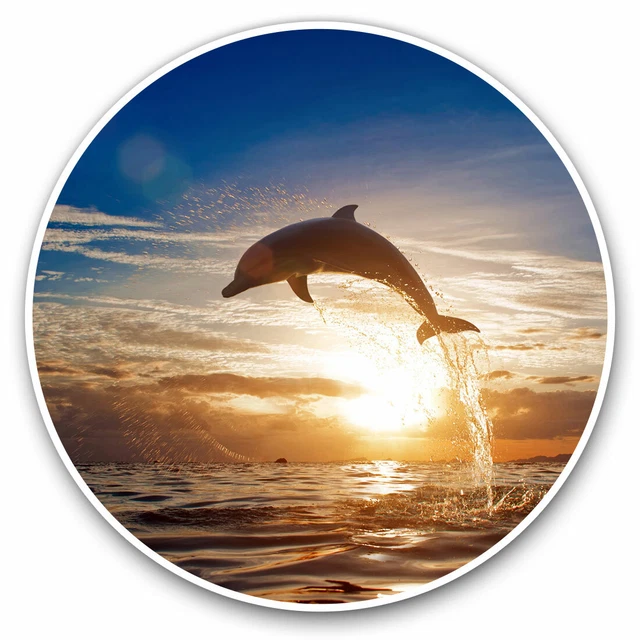 Kira Sticker With Sunset Jumping Dolphin At Sea Cool Gift Decorative ...
