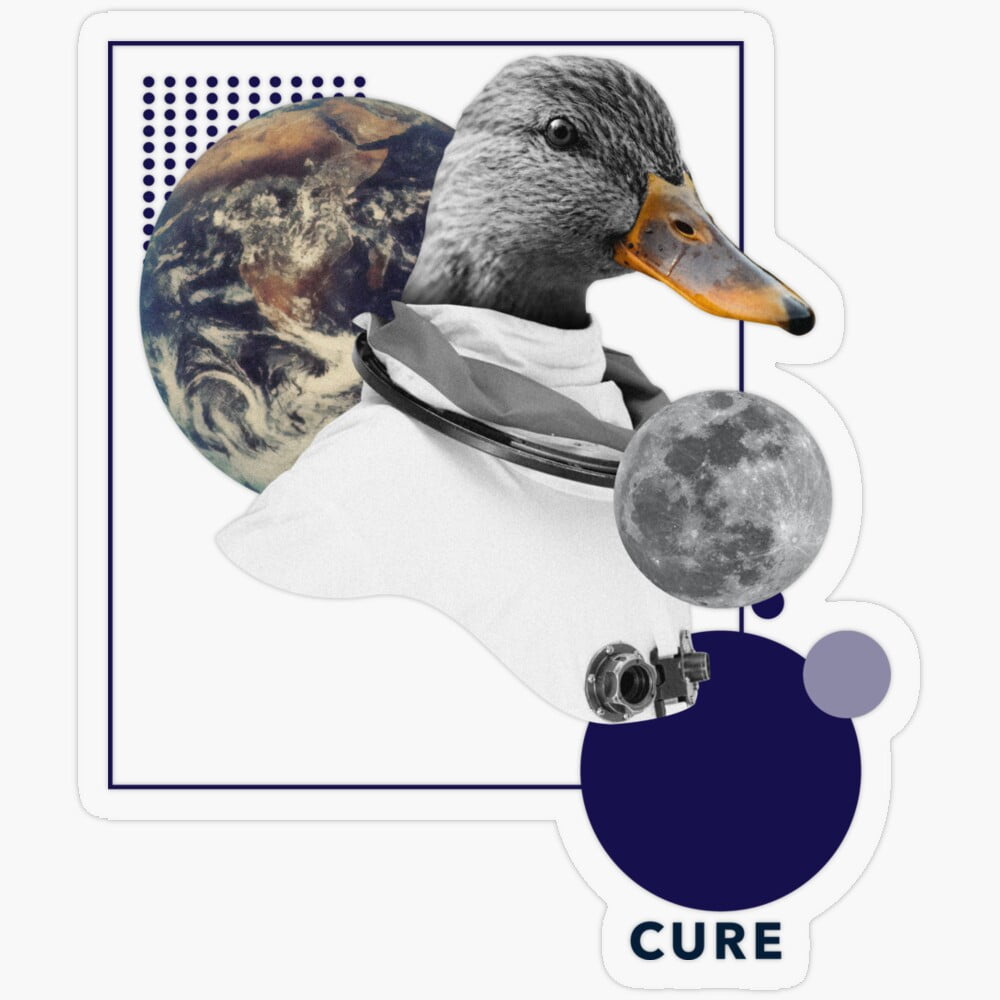 Kira Sticker With Surreal Planet Duck Astronaut Hidden Message Art ...