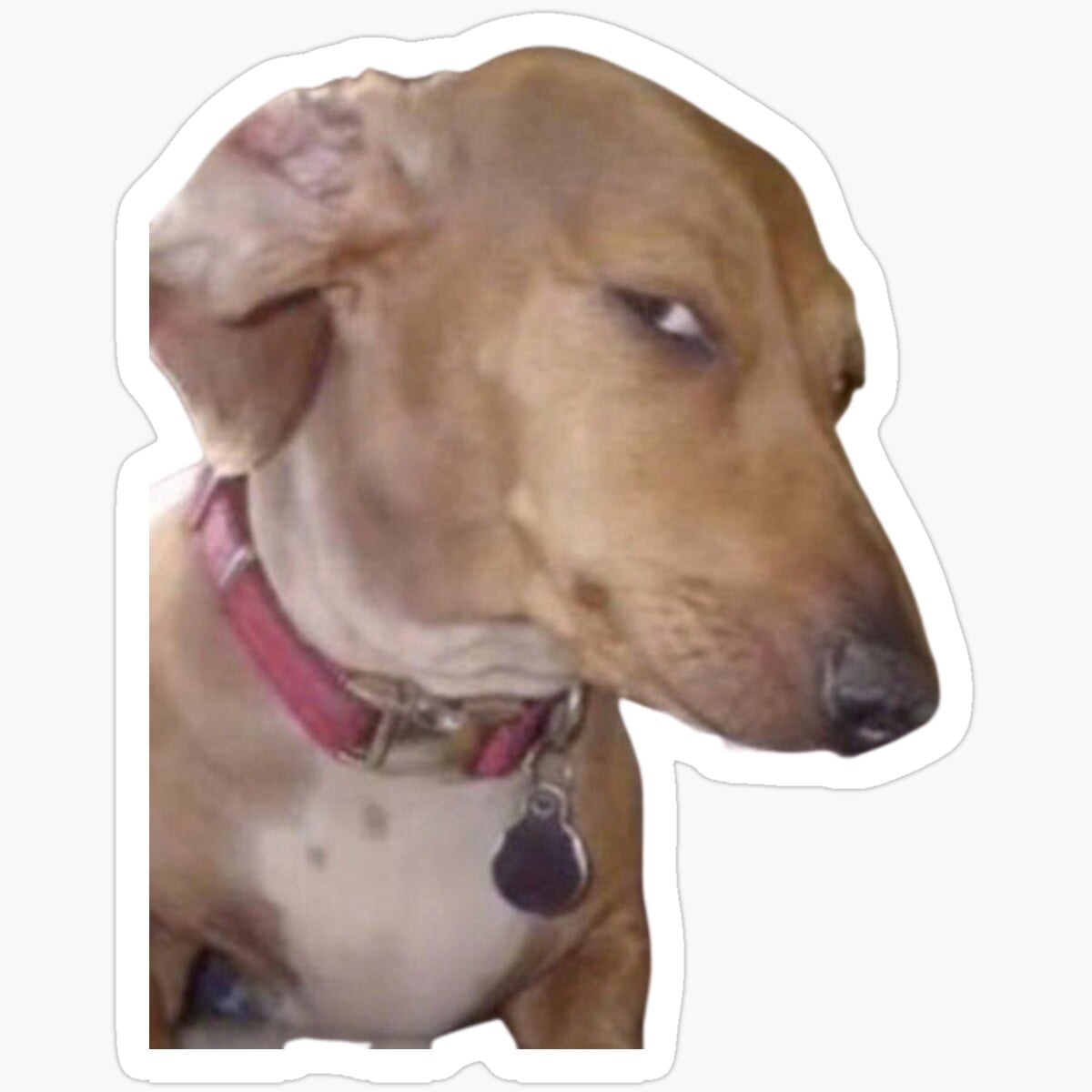 Kira Sticker - Sus Dog Sticker , Funny Waterproof Decal For Pet Lovers ...