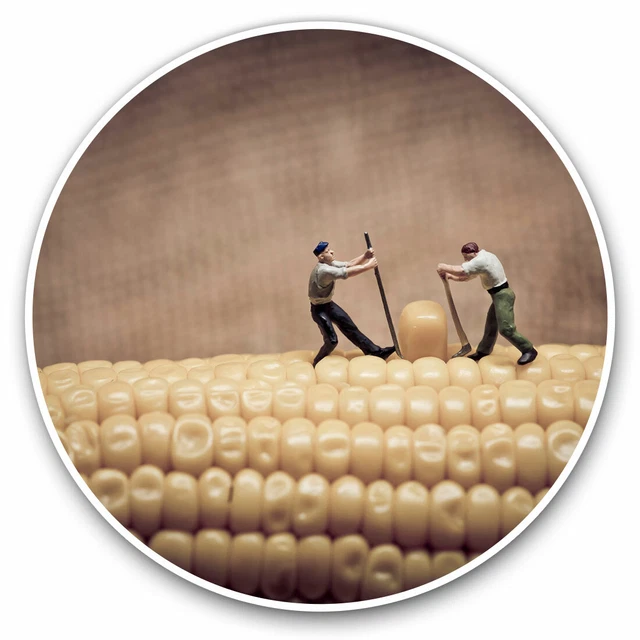Kira Sticker With Sweet Corn Farming Corn On The Cob Cool Gift ...