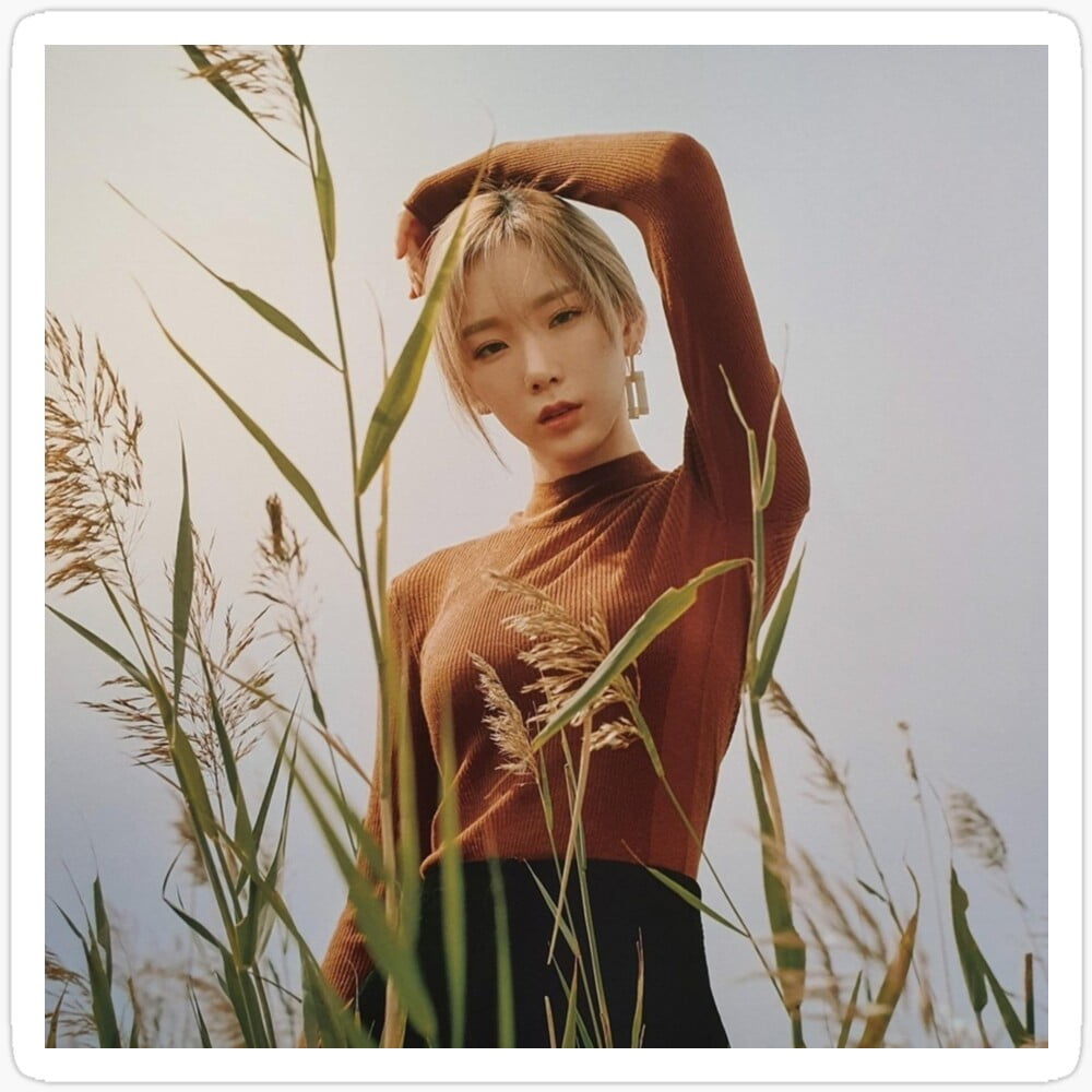 Kira Sticker - Taeyeon Gift For You - Phone Stickers, Waterproof Decals ...