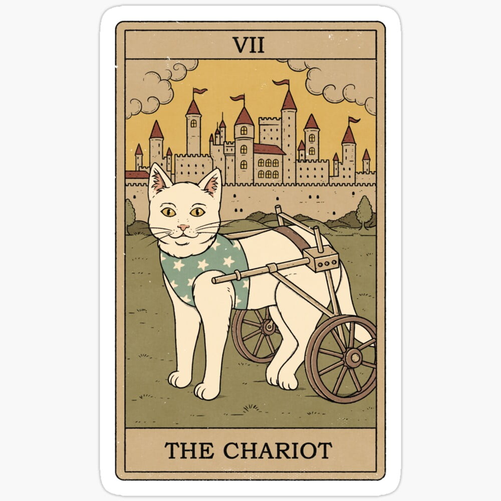 Kira Sticker - The Chariot - Cats Perfect Sticker Gift For Everyone ...