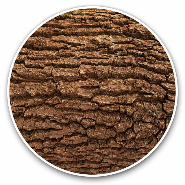 Kira Sticker With Tree Bark Wood Texture Forest Cool Gift Decorative ...