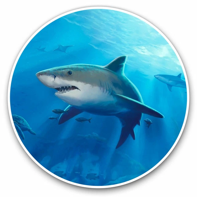 Kira Sticker With Underwater Shark Fish Ocean Sea Diver Cool Gift ...