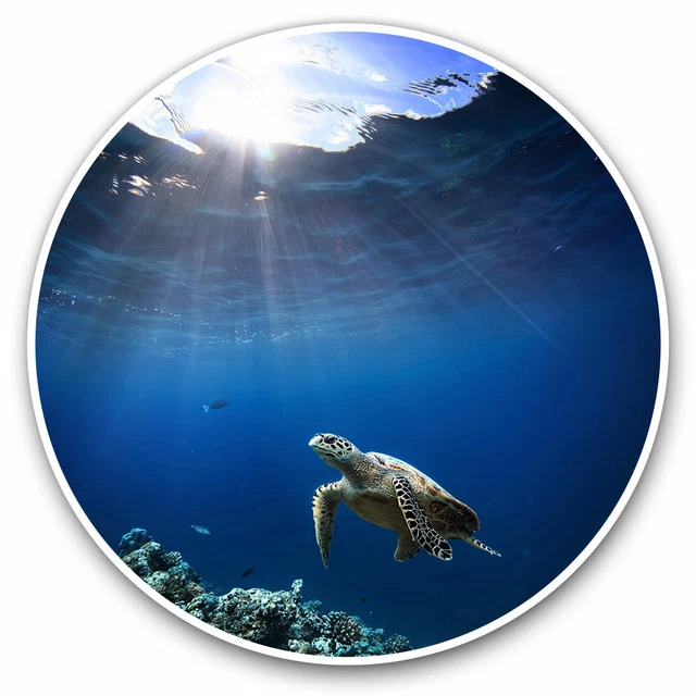 Kira Sticker With Underwater Turtle Ocean Dive Diver Cool Gift ...