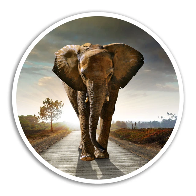 Kira Sticker With Vinyl Stickers African Elephant Vinyl Stickers ...