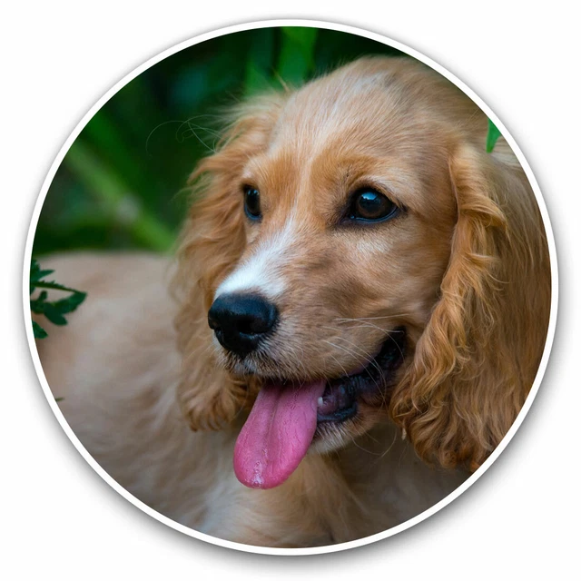 Kira Sticker With Vinyl Stickers -English Cocker Spaniel Dog Puppy Cool ...