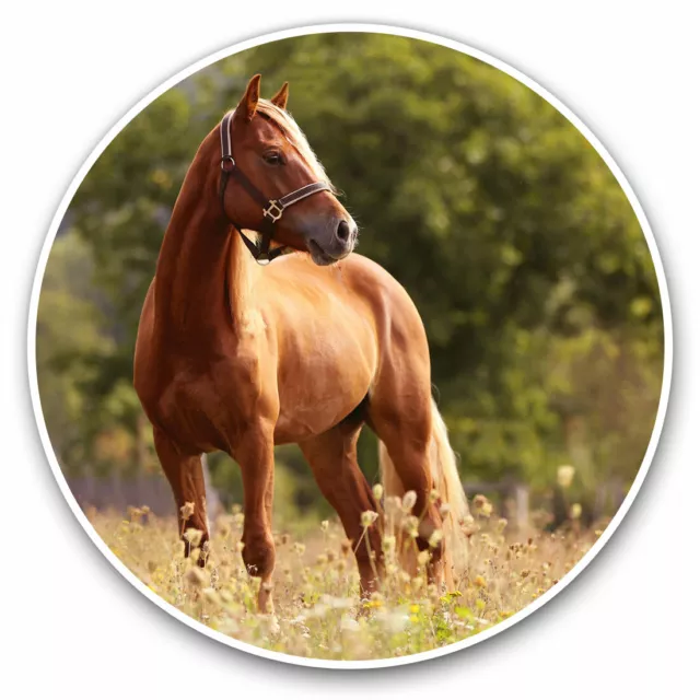 Kira Sticker With Welsh Cob Horse Pony Cute Fun Cool Gift Decorative ...