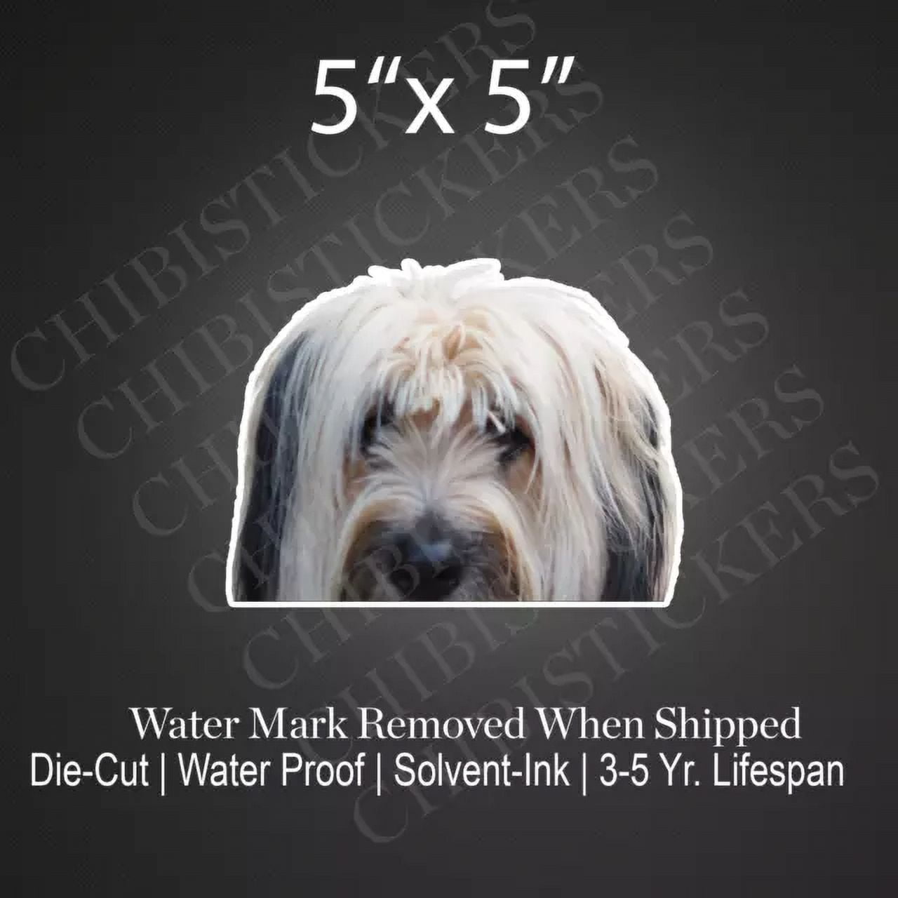 Kira Sticker With White Bearded Collie Realistic Dog Pup Puppy Peeker ...