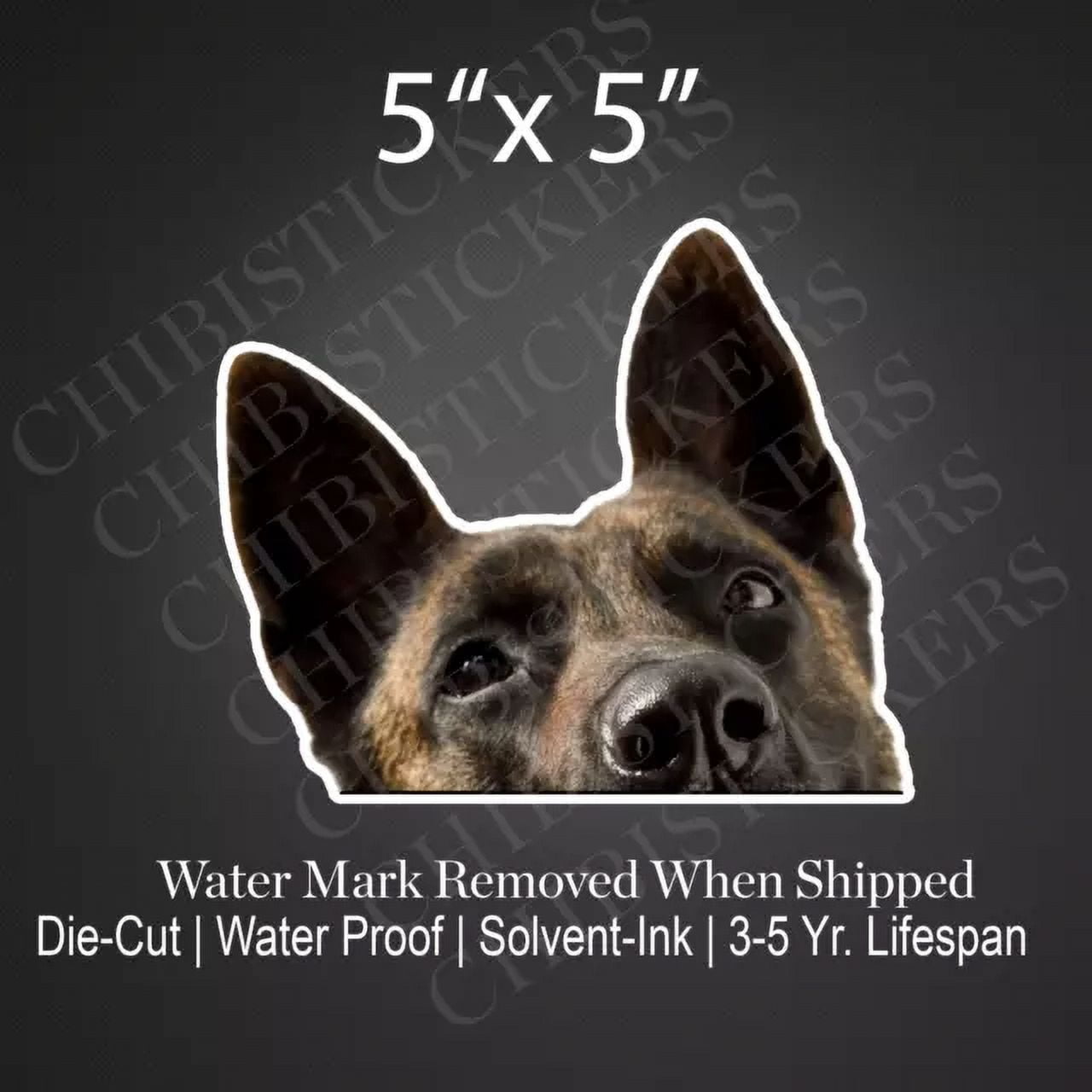 Kira Sticker With White Dutch Shepherd Puppy Realistic Dog Peeker ...