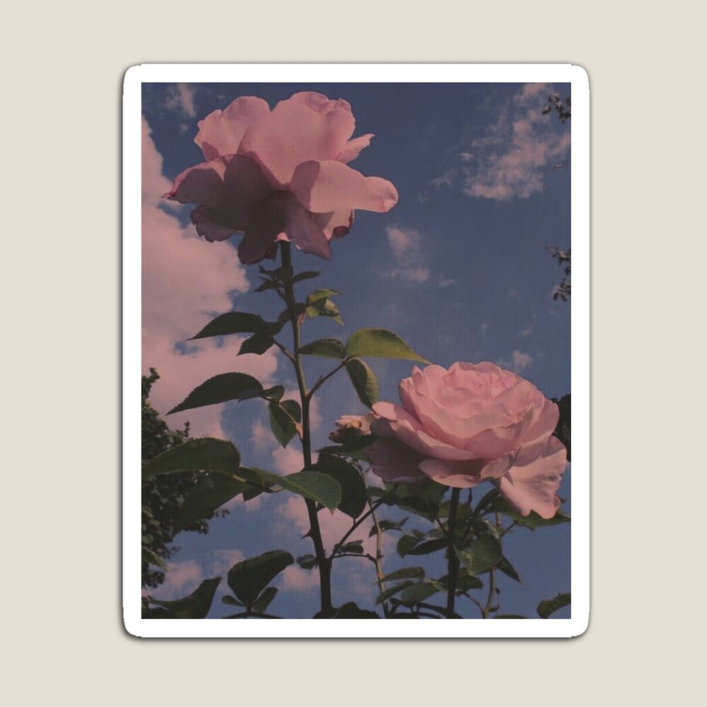 Kira Sticker With Aesthetic Decorative Laptop, Phone Stickers ...