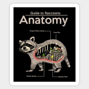 Kira Sticker With Anatomy Of A Raccoon Decorative Laptop, Phone ...