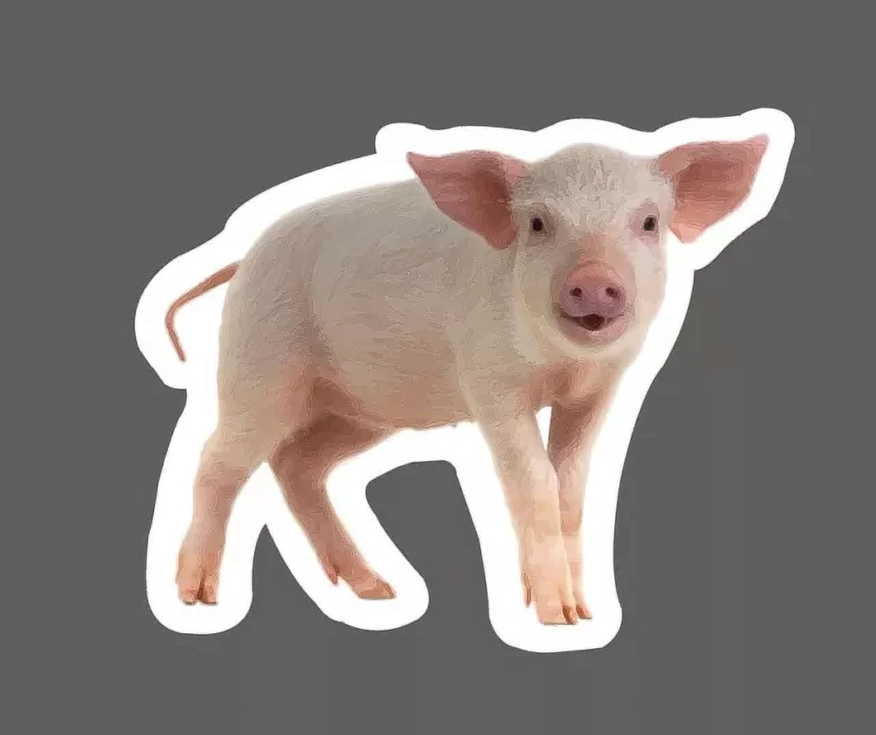 Kira Sticker With Baby Pig Realistic Decorative Laptop, Phone Stickers, Waterproof Decals Water ...
