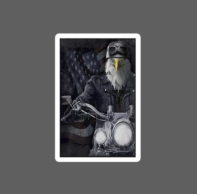 Kira Sticker With Bald Eagle Biker Usa Flag Decorative Laptop, Phone ...