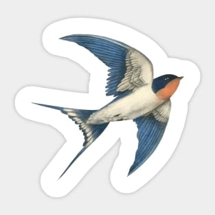 Kira Sticker With Barn Swallow Decorative Laptop, Phone Stickers ...