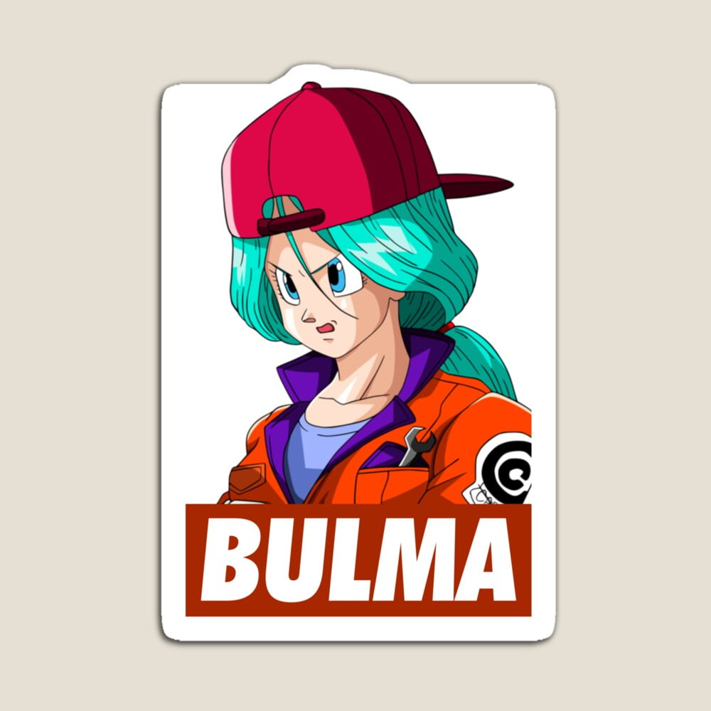 Kira Sticker With Bulma Radar Decorative Laptop, Phone Stickers ...
