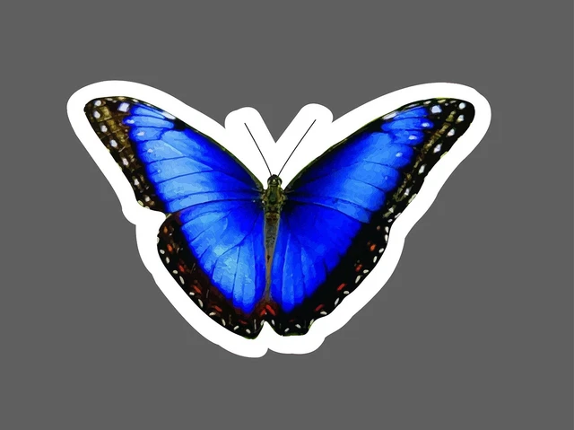 Kira Sticker With Butterfly Realistic Blue Decorative Laptop, Phone ...