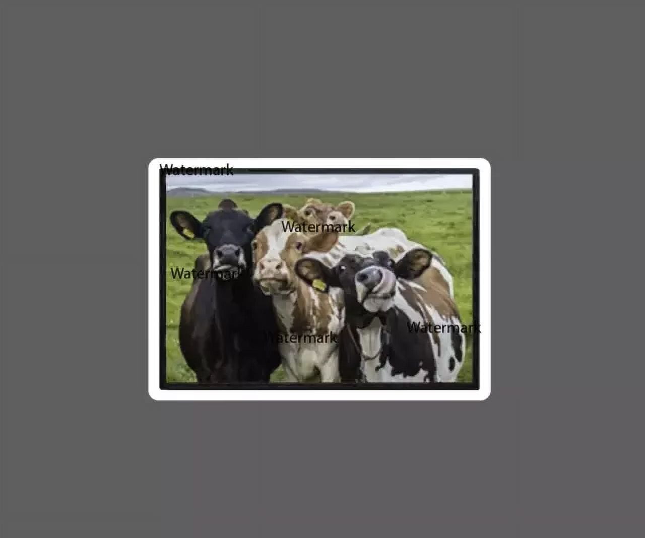Kira Sticker With Cows Farm Funny Decorative Laptop, Phone Stickers ...