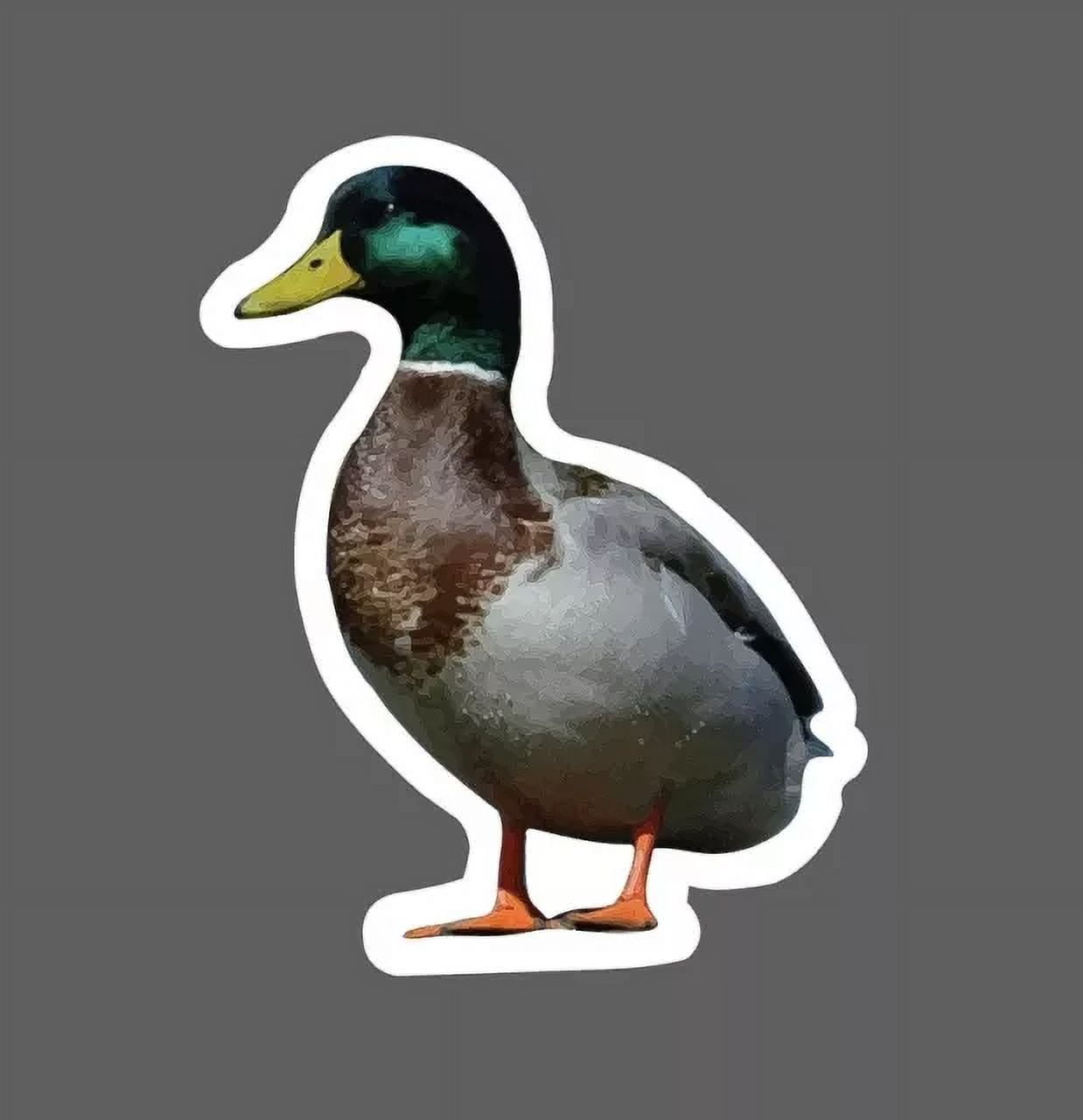 Kira Sticker With Duck Mallard Realistic Waterproof Decorative Laptop ...