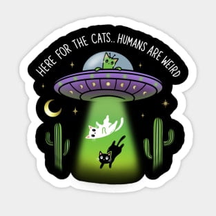 Kira Sticker With Here For The Cats Alien Ufo Cats Decorative Laptop ...