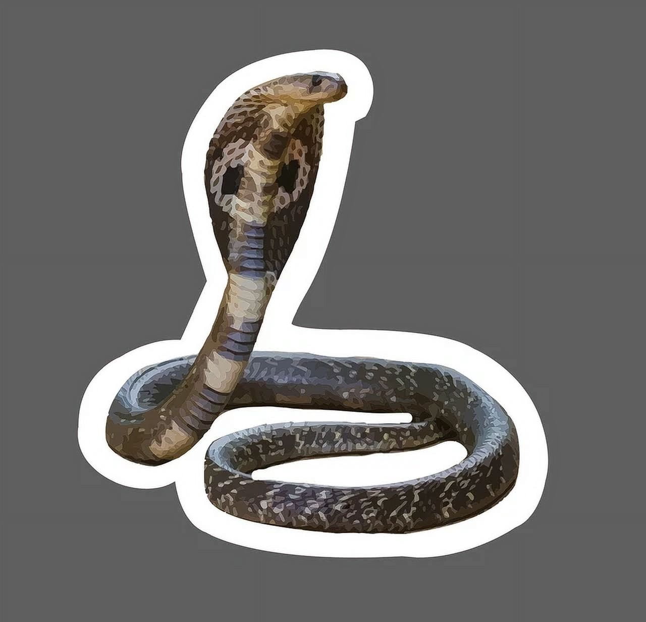 Kira Sticker With King Cobra Realistic Decorative Laptop, Phone ...