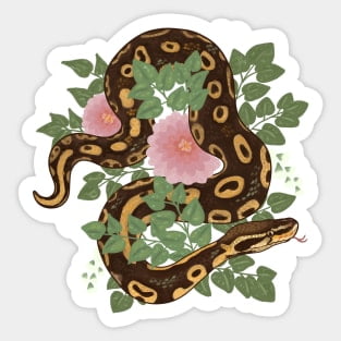 Kira Sticker With Kit The Ball Python Decorative Laptop, Phone Stickers ...