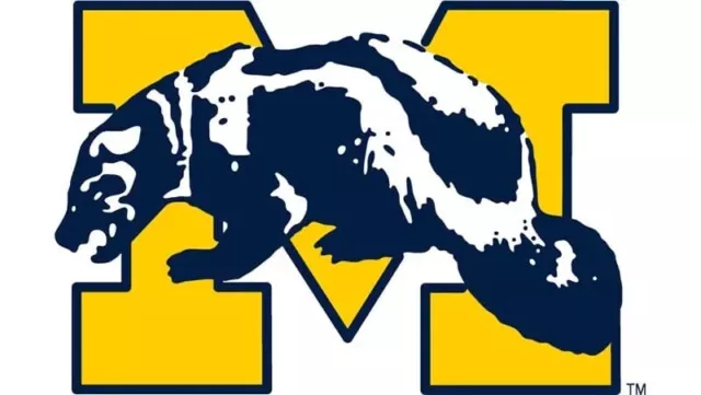 Kira Sticker With Michigan College Sports Team Logo Decorative Laptop ...