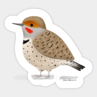 Kira Sticker With Northern Flicker Bird Decorative Laptop, Phone ...