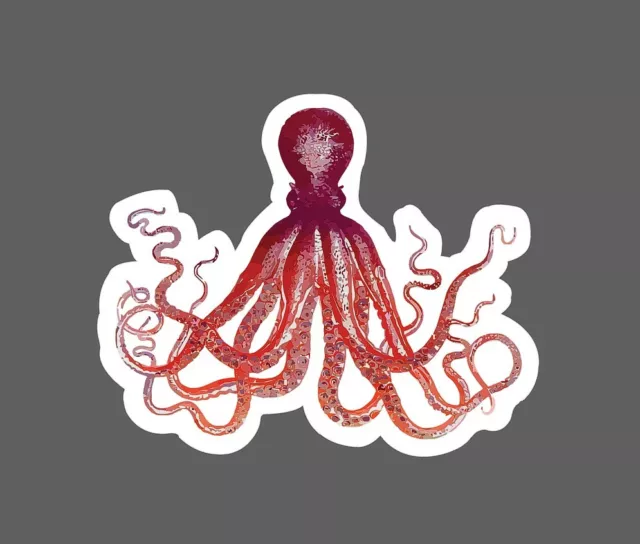 Kira Sticker With Octopus Realistic Waterproof Decorative Laptop, Phone ...