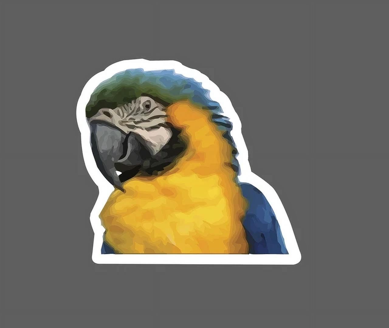 Kira Sticker With Parrot Realistic Bird Decorative Laptop, Phone ...