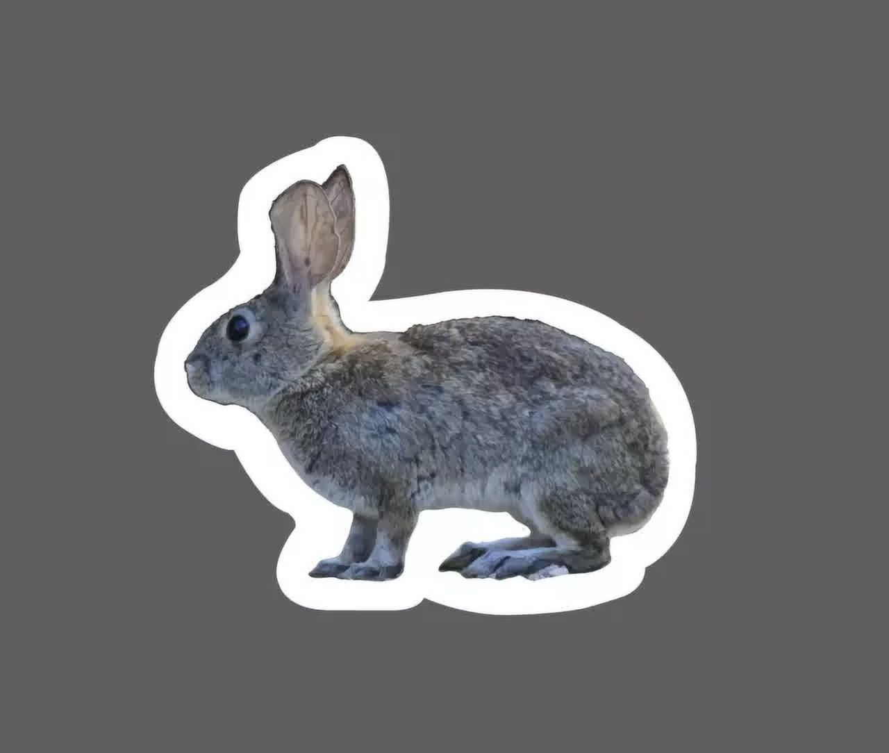 Kira Sticker With Rabbit Waterproof Realistic Hare Decorative Laptop ...