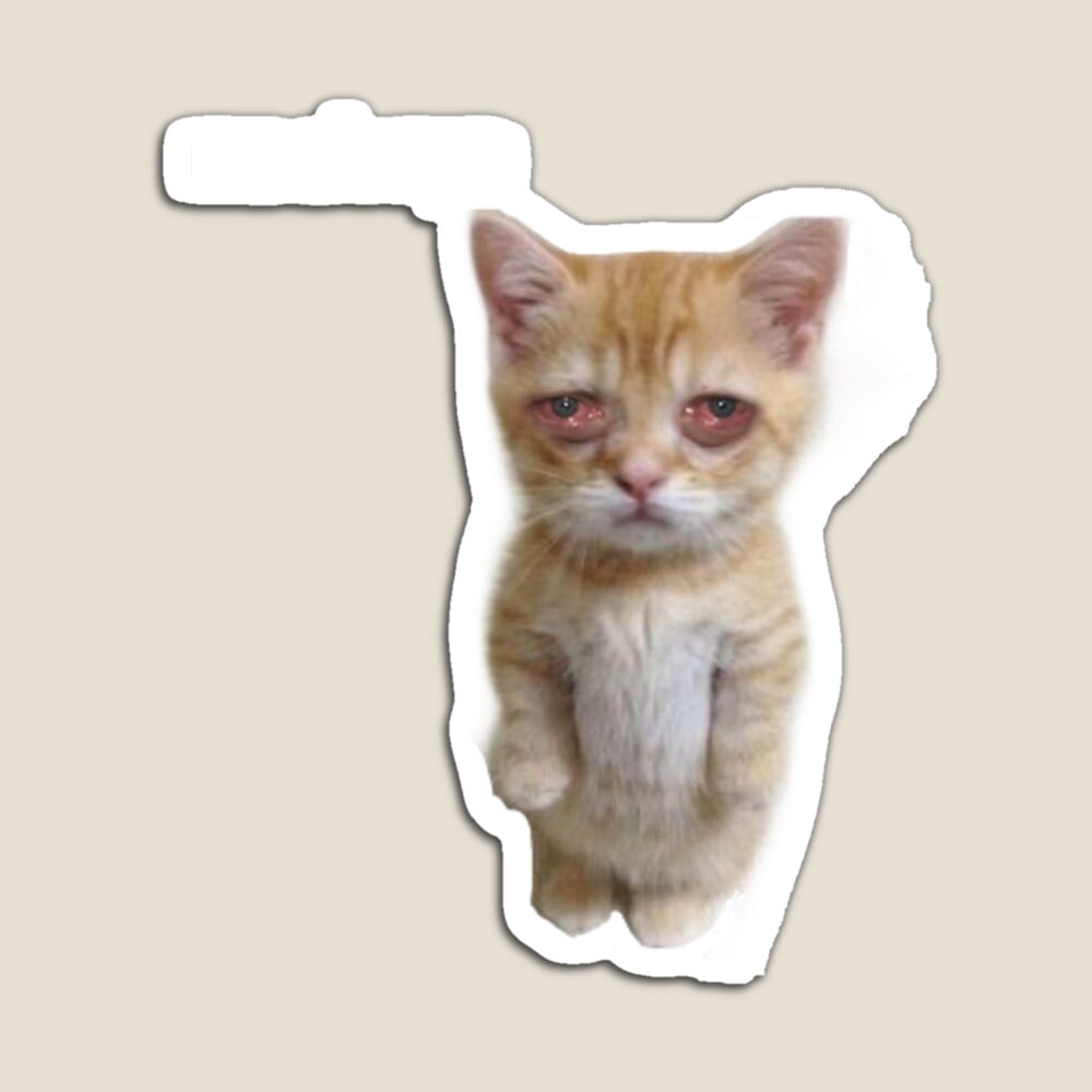 Kira Sticker With Sad Funny Cat Meme Decorative Laptop, Phone Stickers ...