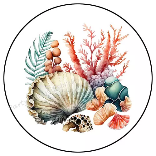 Kira Sticker With Seashells Shells And Coral Decorative Laptop, Phone ...
