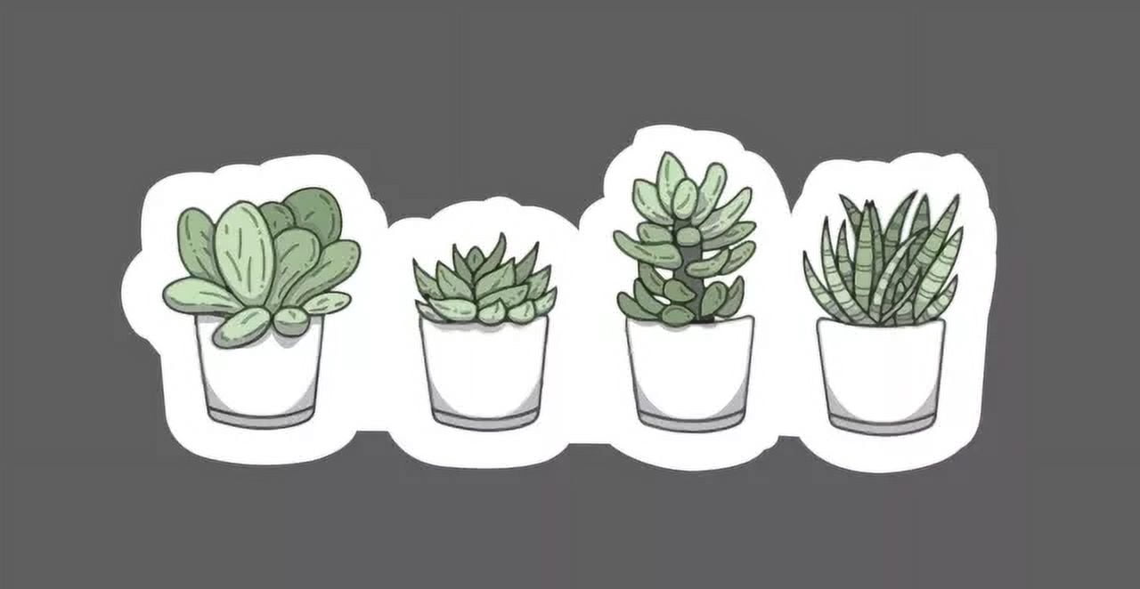 Kira Sticker With Succulents Plants Decorative Laptop, Phone Stickers ...
