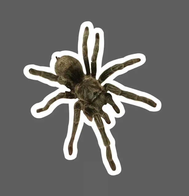 Kira Sticker With Tarantula Spider Realism Waterproof Decorative Laptop ...