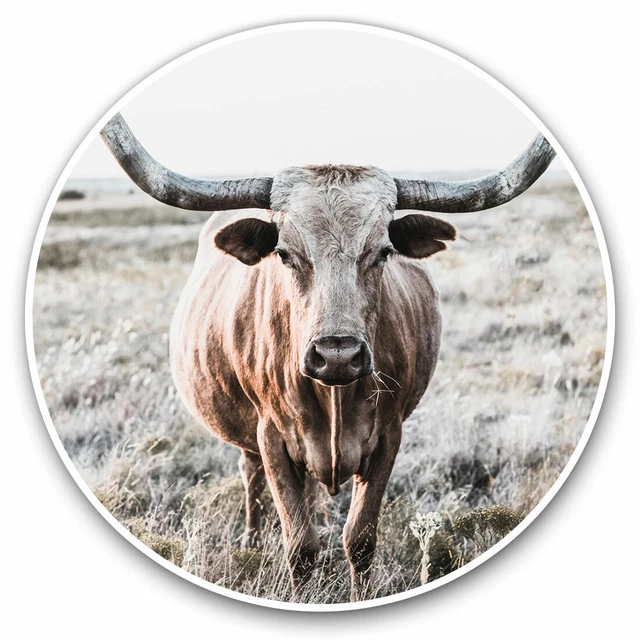 Kira Sticker With Texas Longhorn Cow Cattle Cool Gift Decorative Laptop ...
