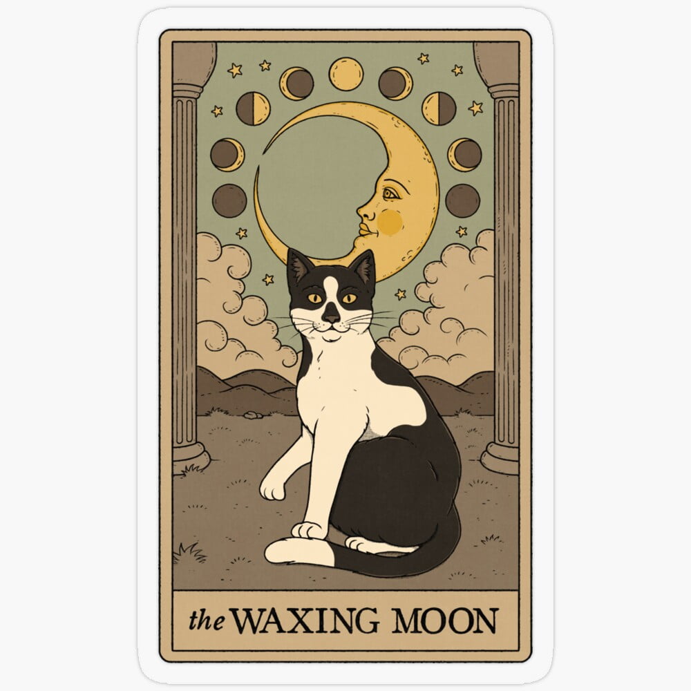 Kira Sticker With The Waxing Moon Cat Decorative Laptop, Phone Stickers ...