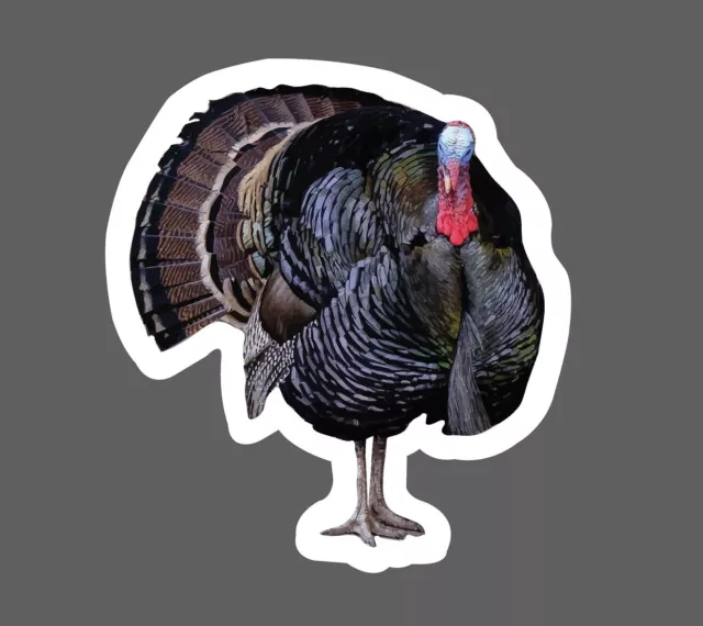 Kira Sticker With Turkey Realistic Waterproof Decorative Laptop, Phone ...