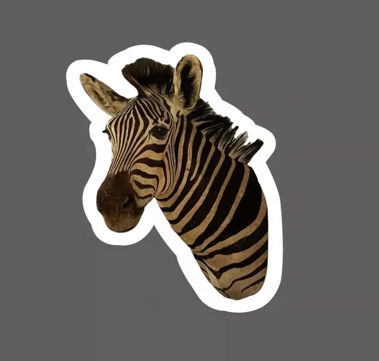 Kira Sticker With Zebra Realistic Decorative Laptop, Phone Stickers ...