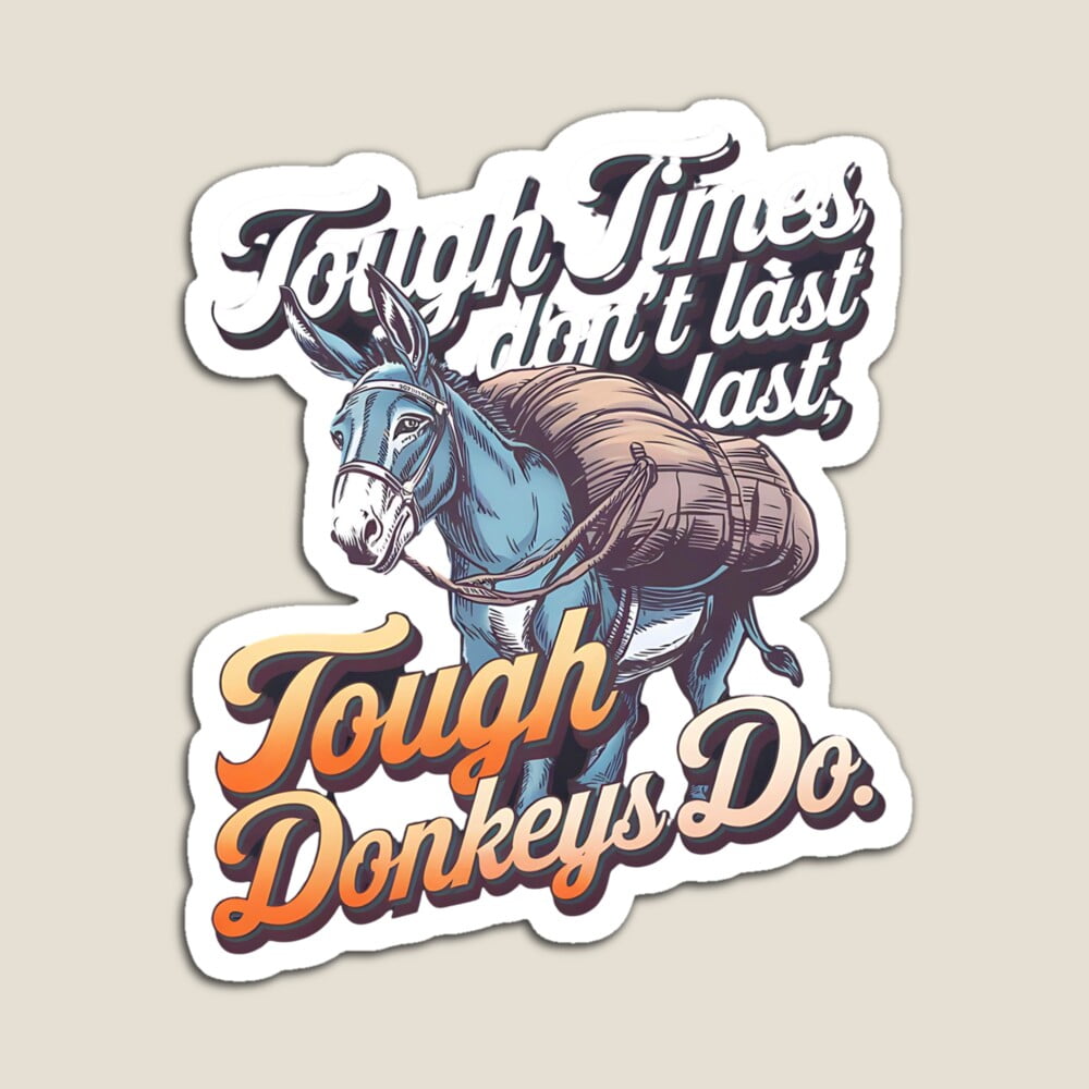 Kira - Tough Times - Donkey Whisperer - Donkeys Are Awesome - Donkey ...