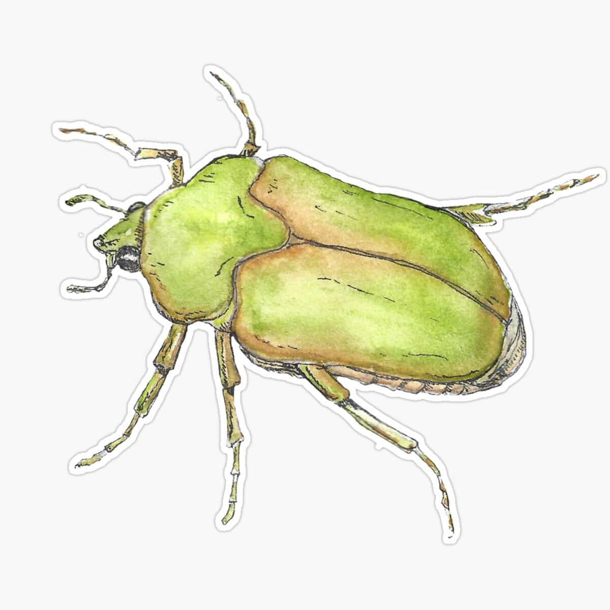 Kira green june beetle Sticker Decorative Laptop, Phone Stickers ...