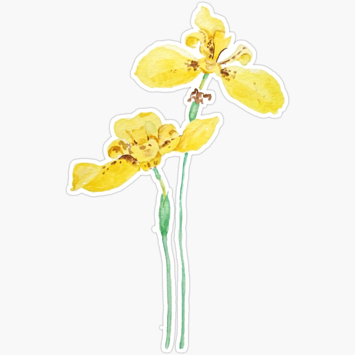 Kira hand painted 2 yellow iris flowers Sticker Decorative Laptop ...