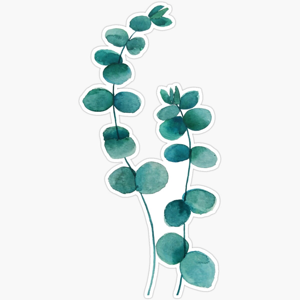 Kira hand painted eucalyptus leaf watercolor Sticker Decorative Laptop ...