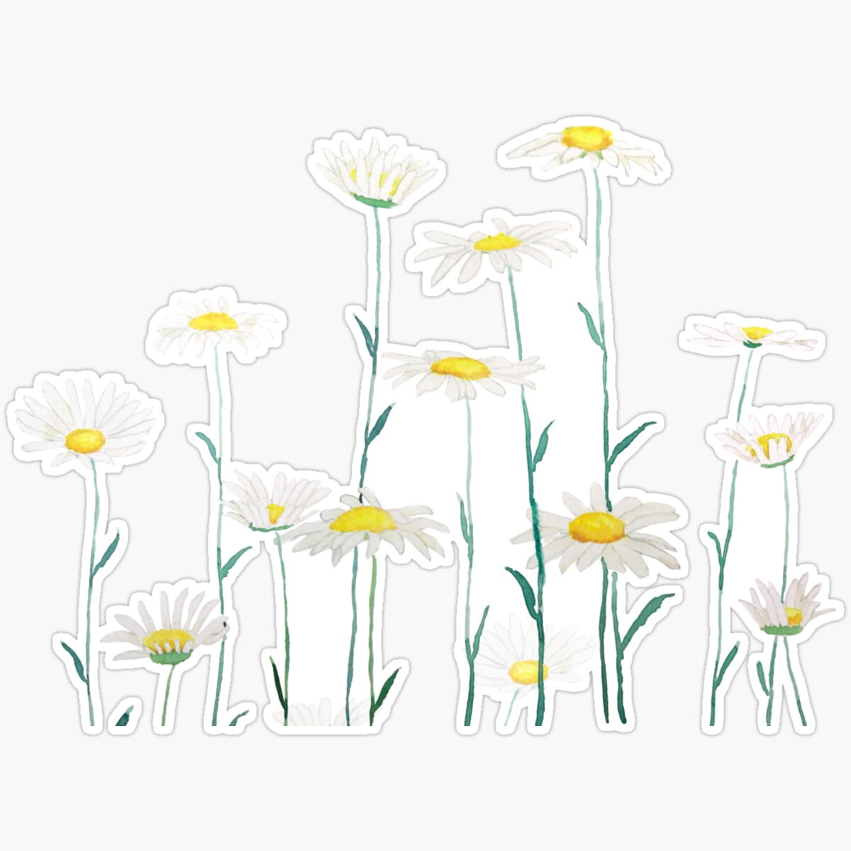 Kira hand painted white daisy branch watercolor horizontal Sticker ...