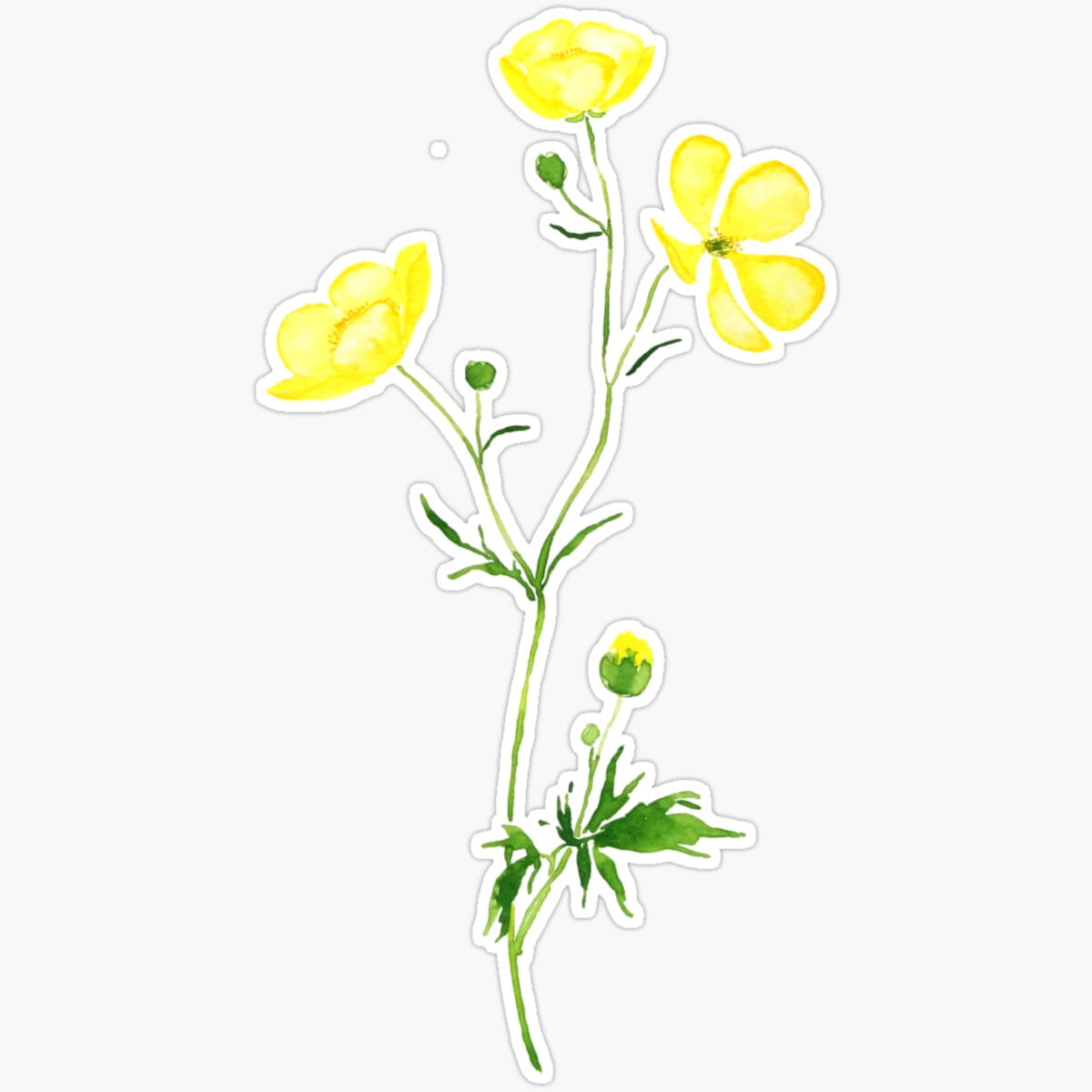 Kira hand painted yellow buttercup flower watercolor Sticker Decorative Laptop, Phone Stickers ...