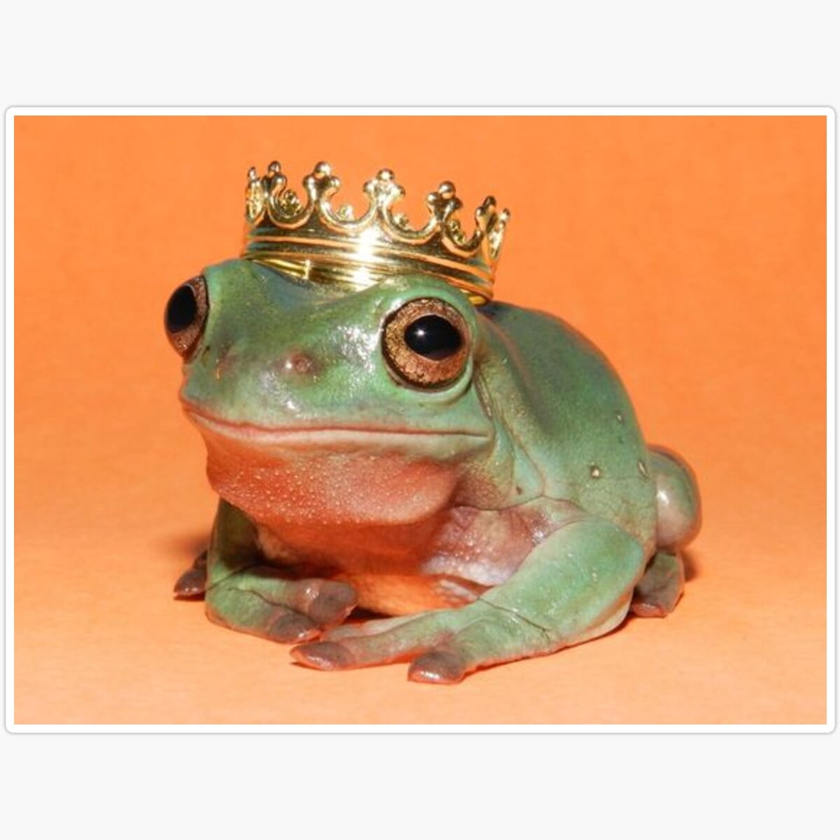 Kira king of all kings Sticker Decorative Laptop, Phone Stickers ...