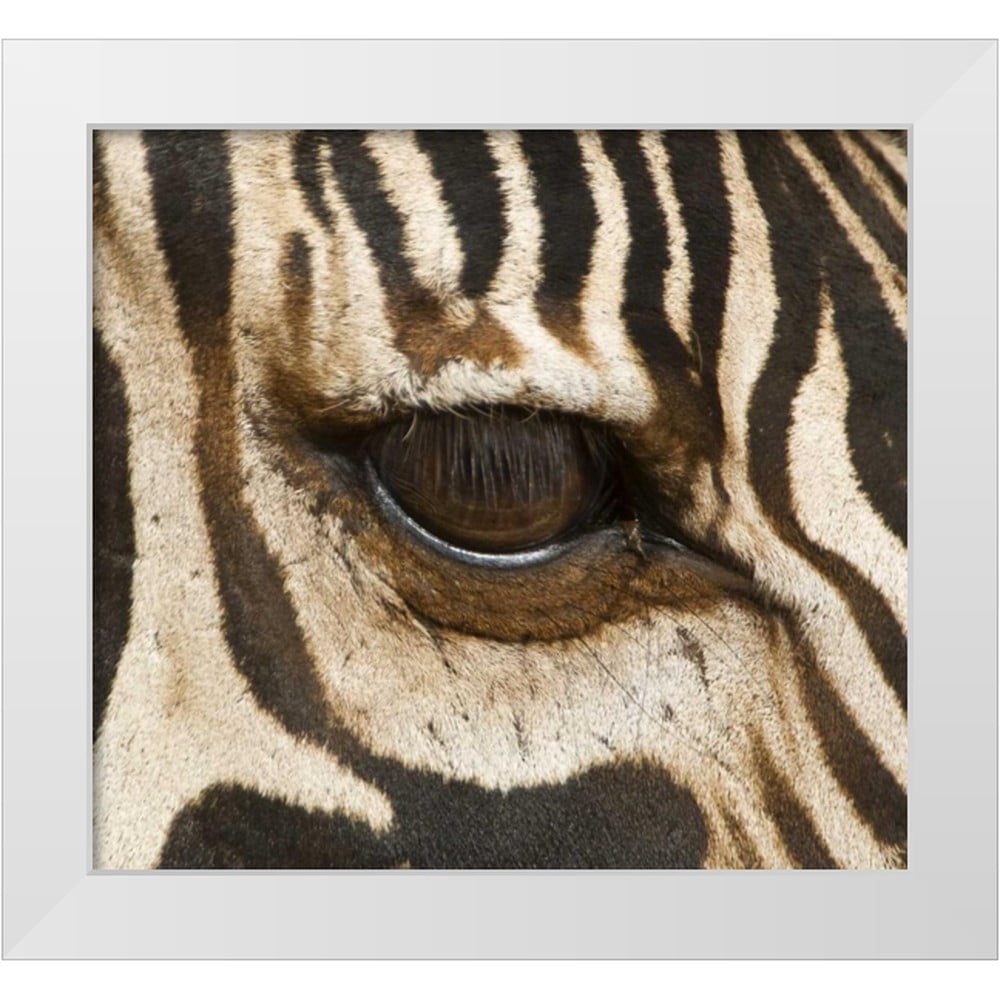 Kirkland, Dennis 13x12 White Modern Wood Framed Museum Art Print Titled ...