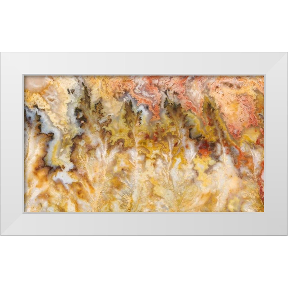 Kirkland, Dennis 18x12 White Modern Wood Framed Museum Art Print Titled ...