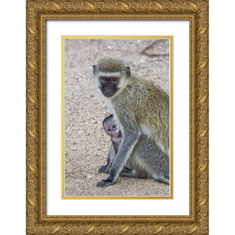 Kirkland, Dennis 23x32 Gold Ornate Wood Framed with Double Matting ...